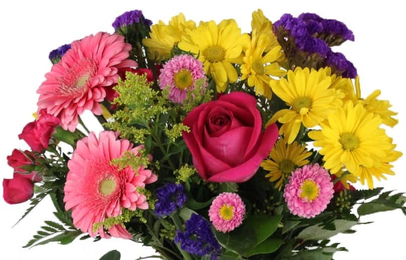Spring's Most Charming Flowers - Nanz and Kraft Florists